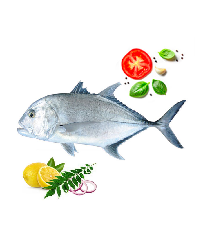 Marine Fish Archives - Greencoot